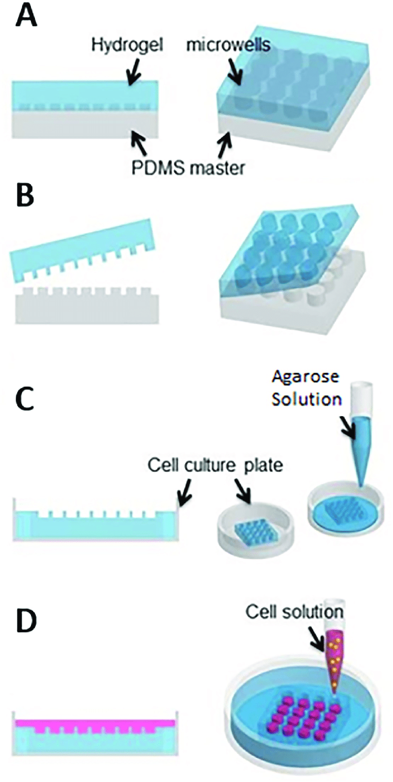 Non-Adhesive Well Plates For Spheroid Generation – faCellitate