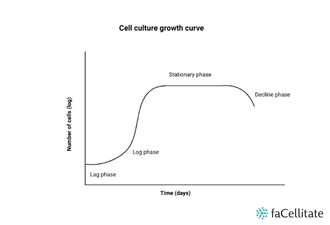 Introduction to cell culture growth stages – faCellitate