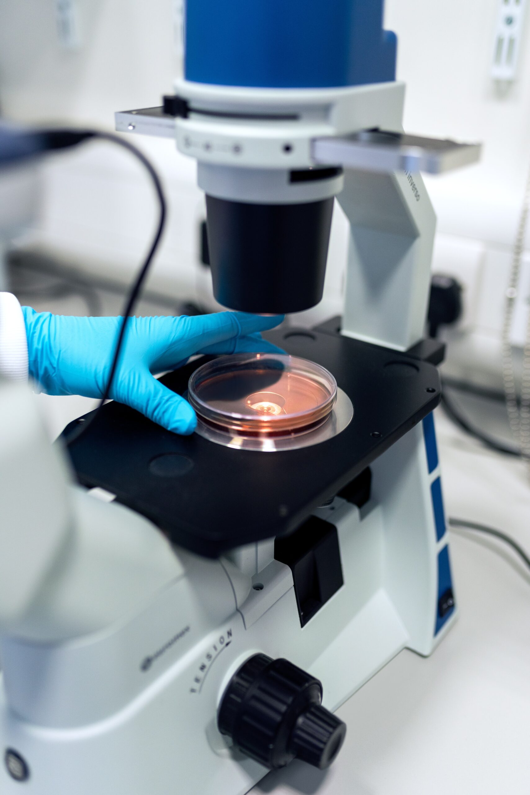Introduction to cell culture growth stages – faCellitate