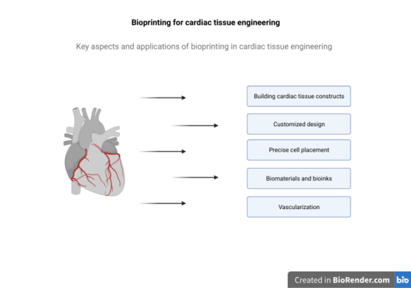 Bioprinting for cardiac tissue engineering - faCellitate